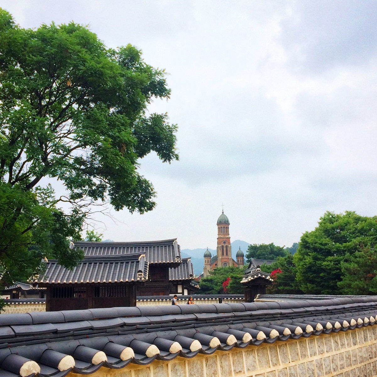 Kindness in Korea – Carry on with Caroline~